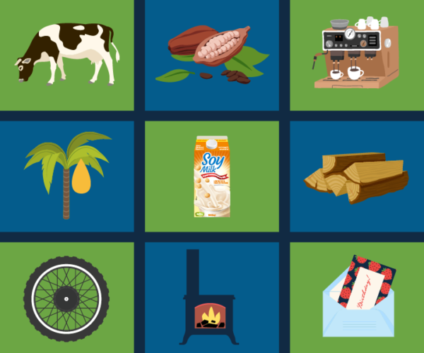 EU’s new anti-deforestation laws will mean a higher demand for ...